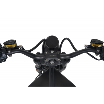 iwheels - E-Chopper Angry Blake, 85 km/h, Samsung-Lithium-Akku